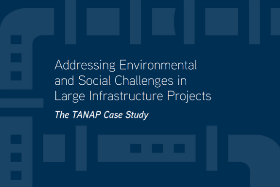 Case Study: Successful Large Infrastructure Project - Darzin